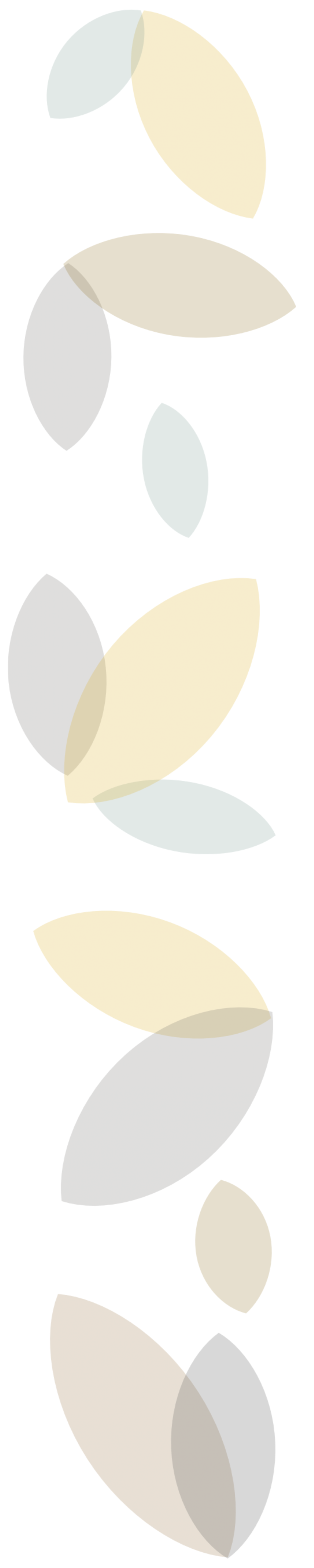 Jean Lave · Learning is a social process · Teaching & Learning