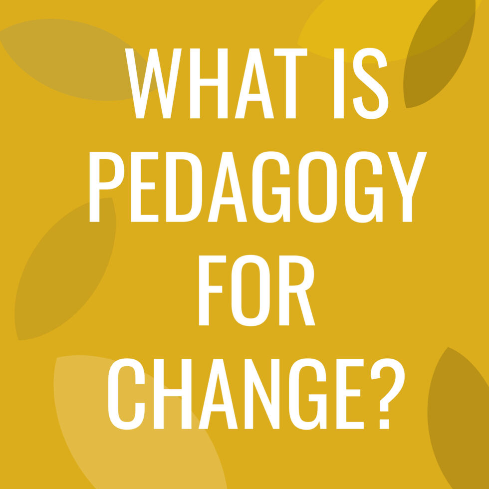 The Common Third in Social Pedagogy · Pedagogy for Change